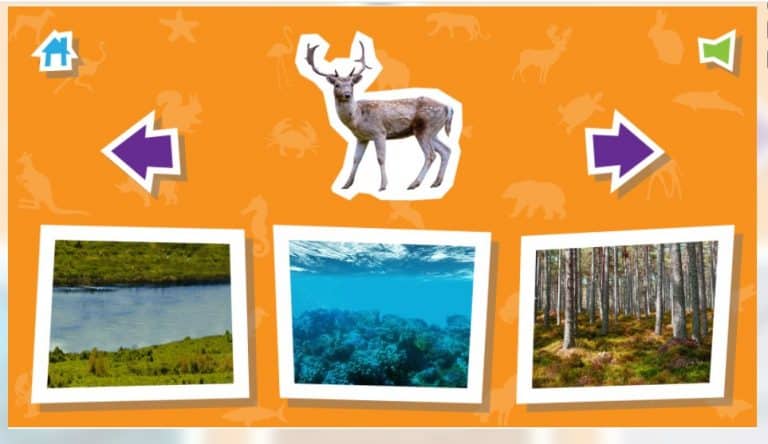 8 Jogos Online Infantis Educativos Gratuitos